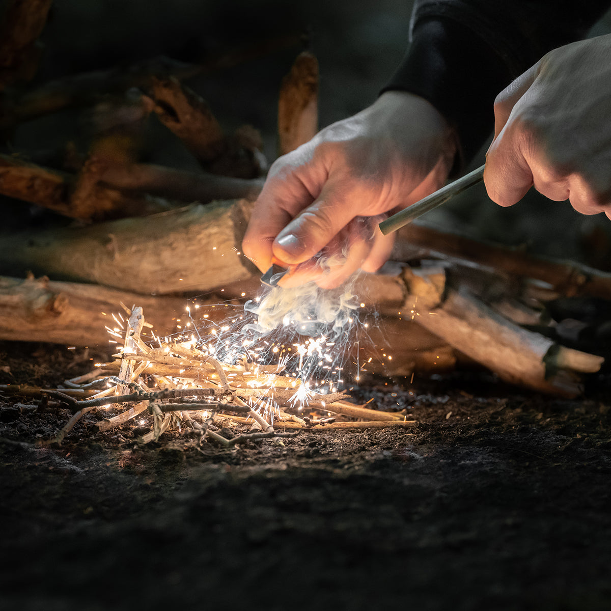 Collections – PROCAMPTEK