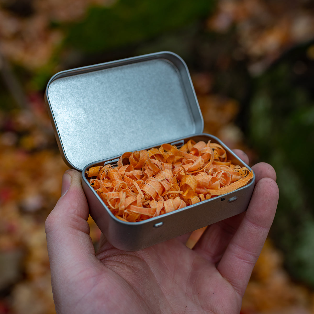 Collections – PROCAMPTEK INC.