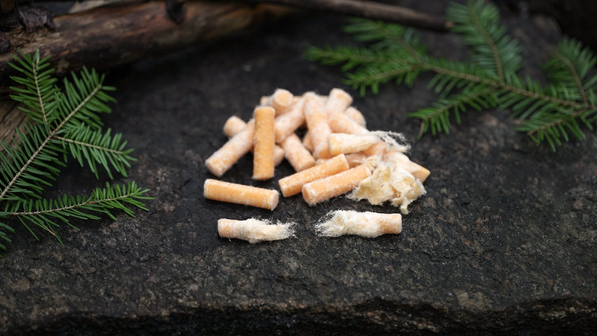 PROCAMPTEK – PROCAMPTEK INC.